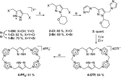 introducing a pyrazole imidazole based hybrid cyclophane a hydrogen