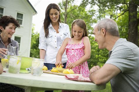 Girl Making Homemade Lemonade Stock Image F0084320 Science Photo