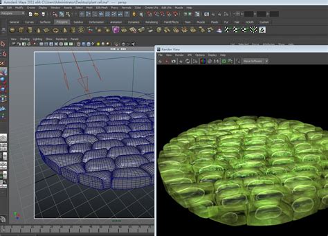 Plant Cell Microstructure 3d Model 79 Ma Free3d