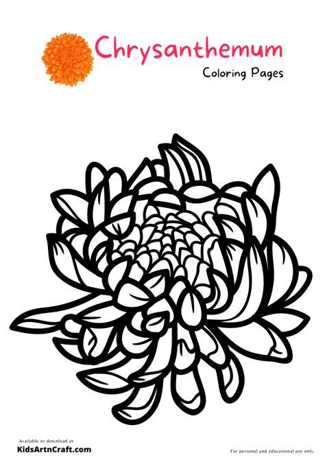 Chrysanthemum Color Page At Claudia Aunger Blog