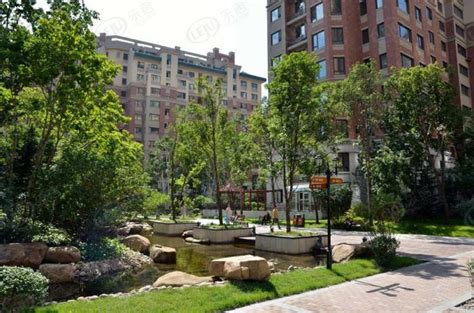 新家 哈尔滨辰能溪树庭院已交房新家交房乐居新浪新闻