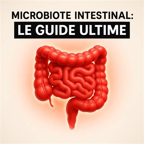 Microbiote Intestinal Le Guide Ultime