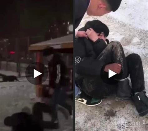 Цахим орчинд тархсан ЕБС ийн сурагчдын зодооныг ЦЕГ аас шалгах