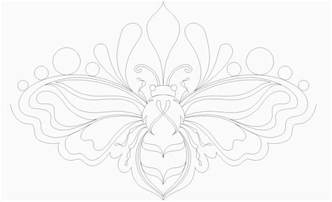 Specimen Honey Bee 1 Set Of 4 Karlee Porter