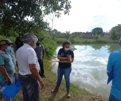 Notícias Focos de queimadas na Amazônia têm alta de 49 em março de