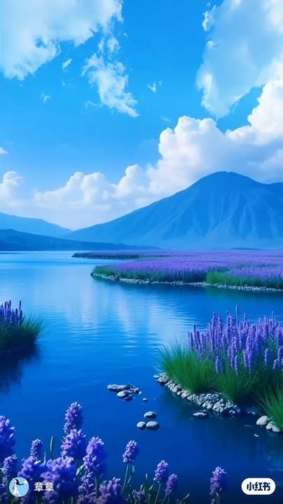 평화로운 자연풍경의 힐링영상 Healing Video Of Peaceful Natural Scenery 평화 자연