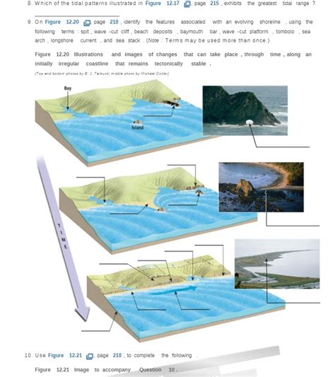 Solved 8 Which Of The Tidal Patterns Illustrated In Figure 12 17 Page Course Hero