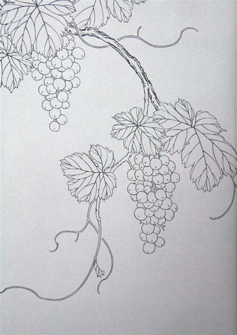 白描手稿 白描骏马 伤感说说吧
