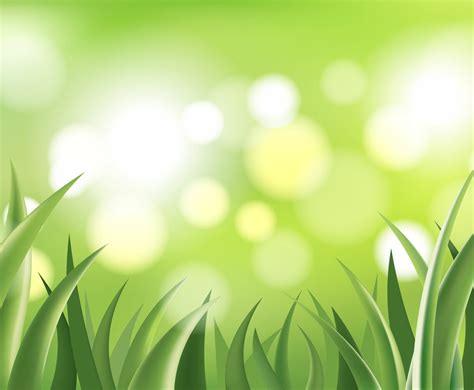 Abstract Green Grass In Bokeh Background Freevectors