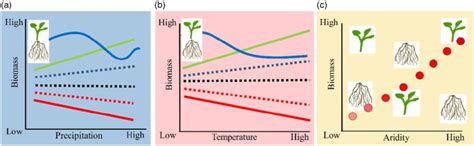 Mixed Understanding Of Responses Of Agb And Bgb To Climatic Download Scientific Diagram