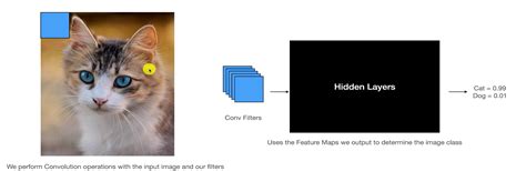 CNN 2 Feature Detectors 기능 검출기