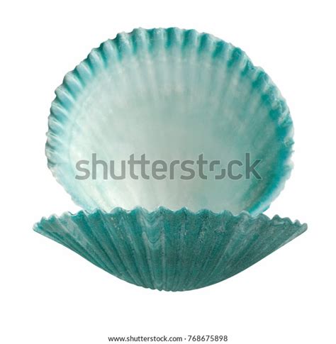 Open Shell Over Royalty Free Licensable Stock Photos Shutterstock