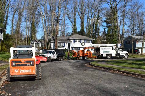 Tree Pruning In Central NJ Star Rated