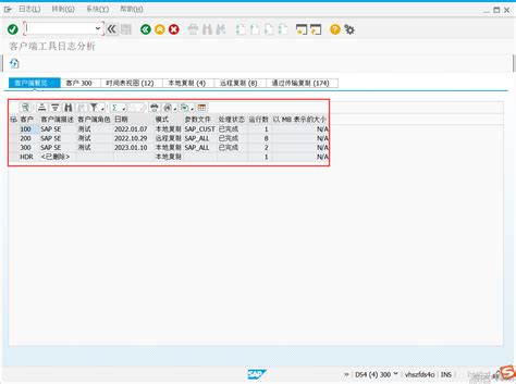 sap basis模块 client拷贝方法（包括同服务器和跨服务器拷贝） sap client copy csdn博客