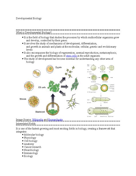 Developmental Biology Developmental Biology What Is Developmental