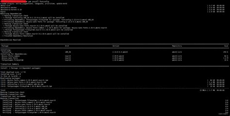 Linux环境下openjdk11关于字体的问题jdk11 Fixedsys Csdn博客