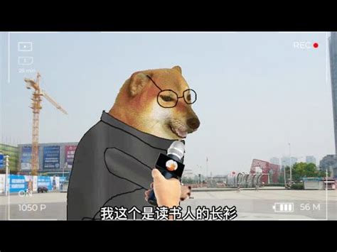 你脱去长衫了吗Cheems家族剧 YouTube