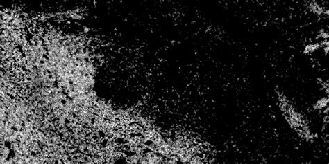 Comet™ Easy Multiplex Immunofluorescence Lunaphore