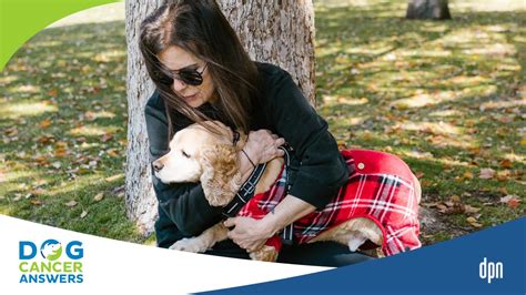 Hemangiosarcoma In Dogs