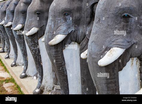 Sri Lanka North Central Province Anuradhapura Historic Capital Of