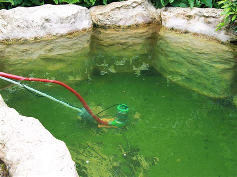 Nettoyage Etang Poisson Materiel De Bassins
