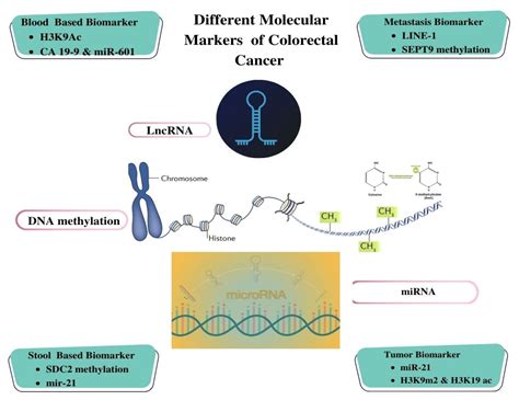 Biosensors Free Full Text Current Status And Emerging Trends In Colorectal Cancer Screening