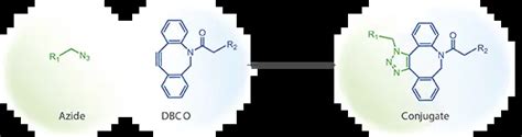 Peptide Oligonucleotide Conjugate