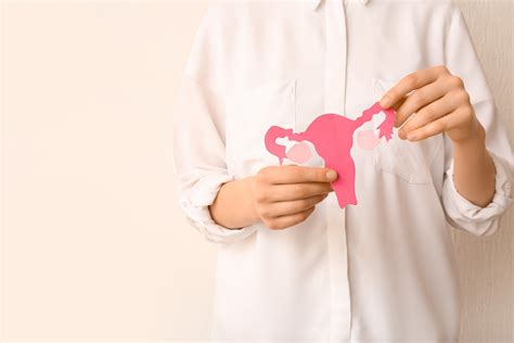 What Is The Estrobolome Demystifying The Estrogen Gut Hormone