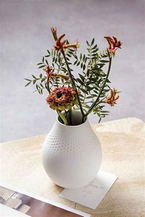 Villeroy And Boch • ვილეროი და ბოხი
