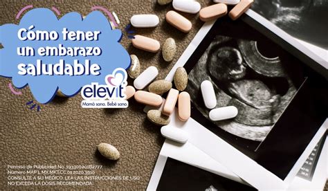 Cómo Tener Un Embarazo Saludable Bbmundo