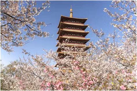 邂逅金陵山水千年风雅，2023春牛首·长三角媒体采风行举行牛首山文化旅游