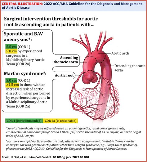 Ascending Thoracic Aortic Aneurysm