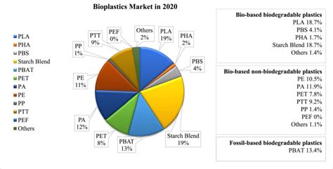 What Plastics Are Not Biodegradable Plastic Industry In The World