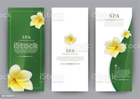 서식 파일 배너 스파 Frangipani 꽃 그린 리프 현대적인 디자인 브로셔 포스터 전단지 전단지 벡터 일러스트 레이 션 스파