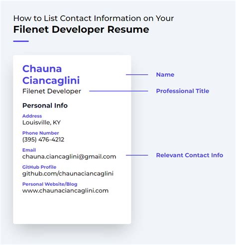 Filenet Developer Resume Examples And Templates ResumeCat
