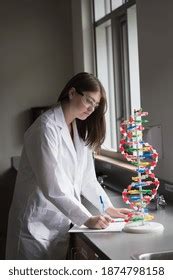 Thousand Atom Model Royalty Free Images Stock Photos Pictures Shutterstock