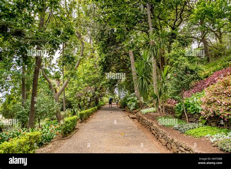 Funchal Est La Ville La Plus Importante Le Siège Municipal Et La