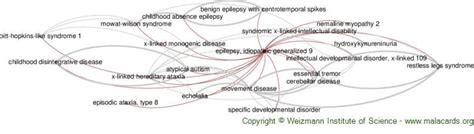 Epilepsy Idiopathic Generalized 9 Disease Malacards Research