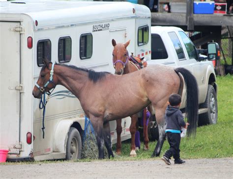 Results And Photos From The 72nd Annual Kispiox Valley Rodeo The