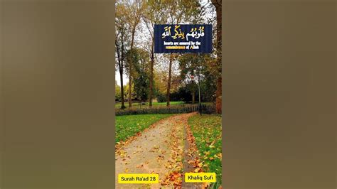Hearts Get Assured By Remembrance Of Allah Al Quran Youtube