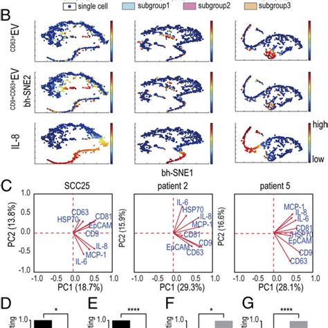 Multidimensional Single Cell Secretion Analysis Delineated Oscc Download Scientific Diagram