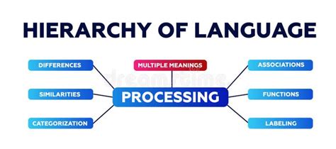 Hierarchy Of Language Diagram Infographic On Similarities And Functions With Data Stock Vector
