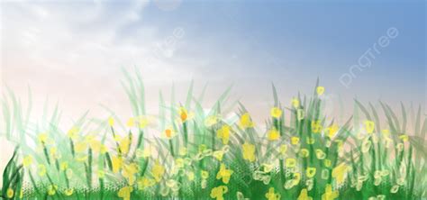 Green Grass Small Grass Close Up Hd Material Background Background
