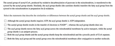Solved The Acetyl Group Of Acetyl CoA Produced By Oxidative Chegg