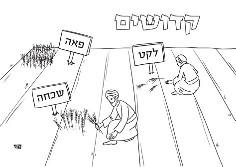 פרשת קדושים ש״י לילדים