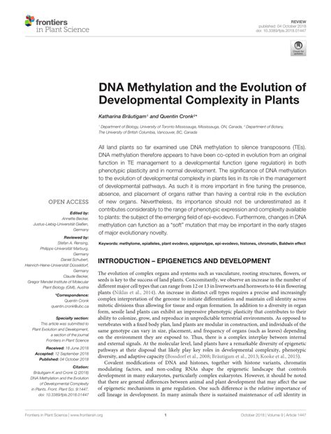 Pdf Dna Methylation And The Evolution Of Developmental Complexity In