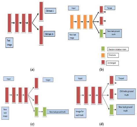 Optimized Deep Learning With Learning Without Forgetting Lwf For