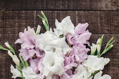 소박한 나무 배경 평면에 아름 다운 분홍색과 흰색 Gladioluses 하다 소박한 갈색 나무 텍스트 공간에 다채로운