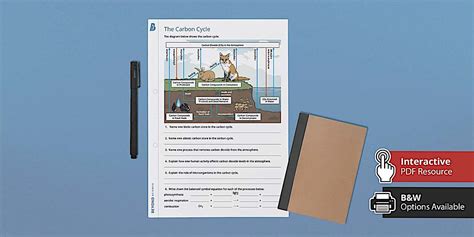 Gcse The Carbon Cycle Worksheet Teacher Made Twinkl