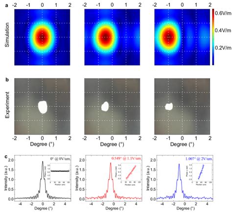 230303256 Cascaded Periodically Poled Electro Optical Crystal Optical Phased Array